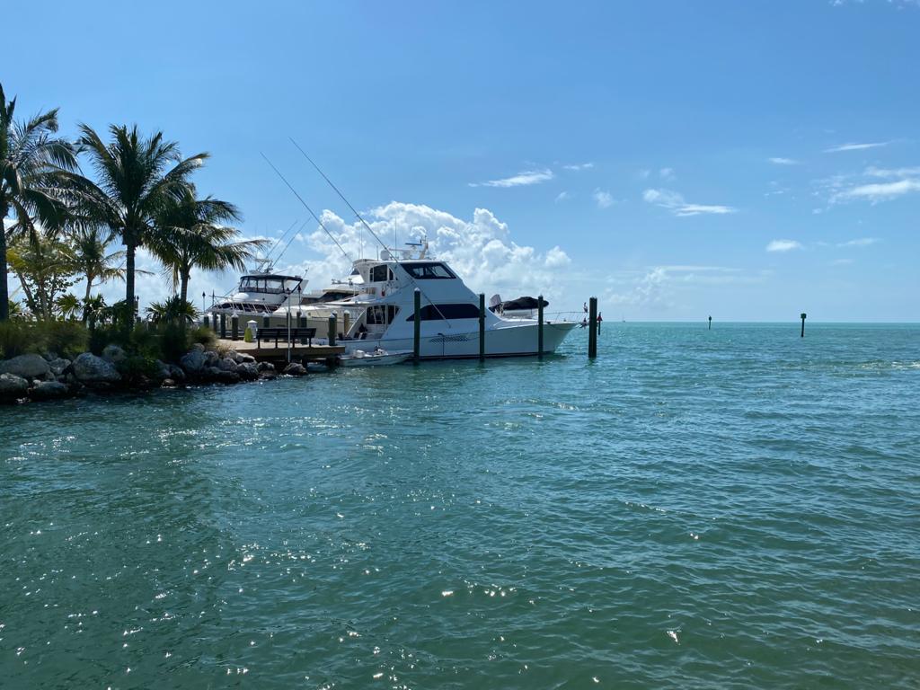 Explore the Florida Keys: Sun, Sea, and Adventure