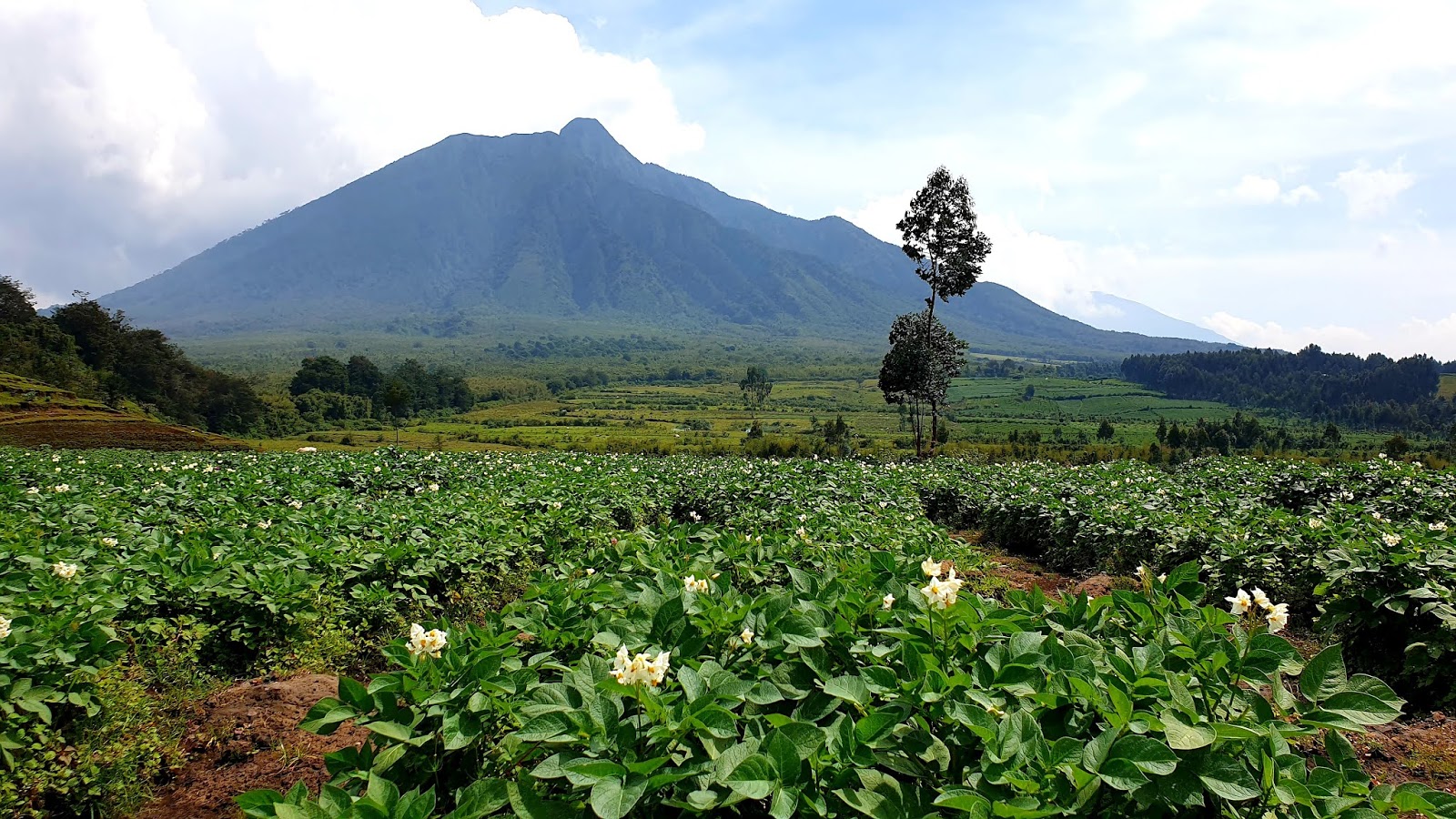 Experience the Wonder of Rwanda – An Unforgettable Journey with Lets Trip